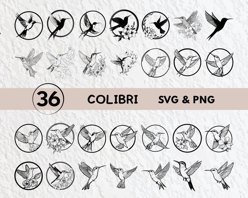 Hummingbird SVG Bundle: Colibri Silhouette, Logo, Clipart (PNG, Cricut ...