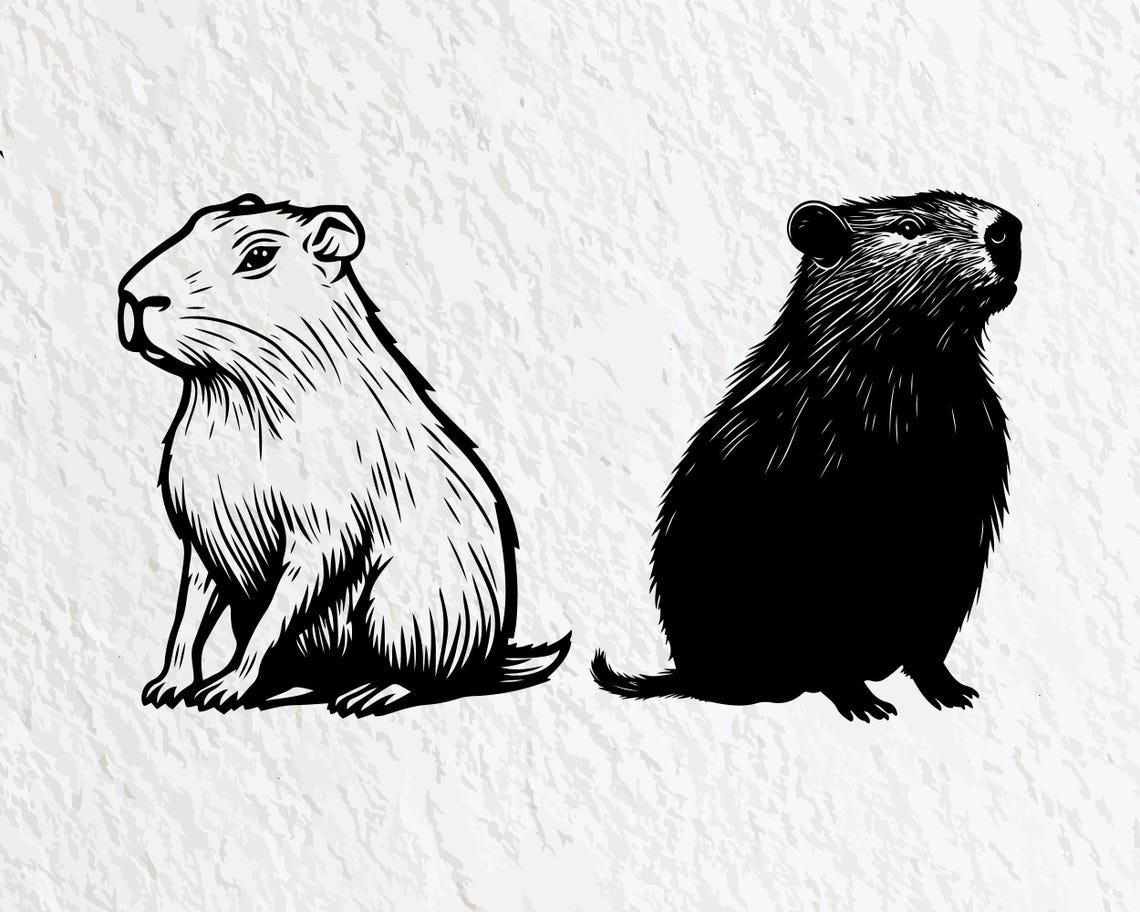 Capybara Svg Bundle, Capybara Silhouette, Capybara Clipart Png ...