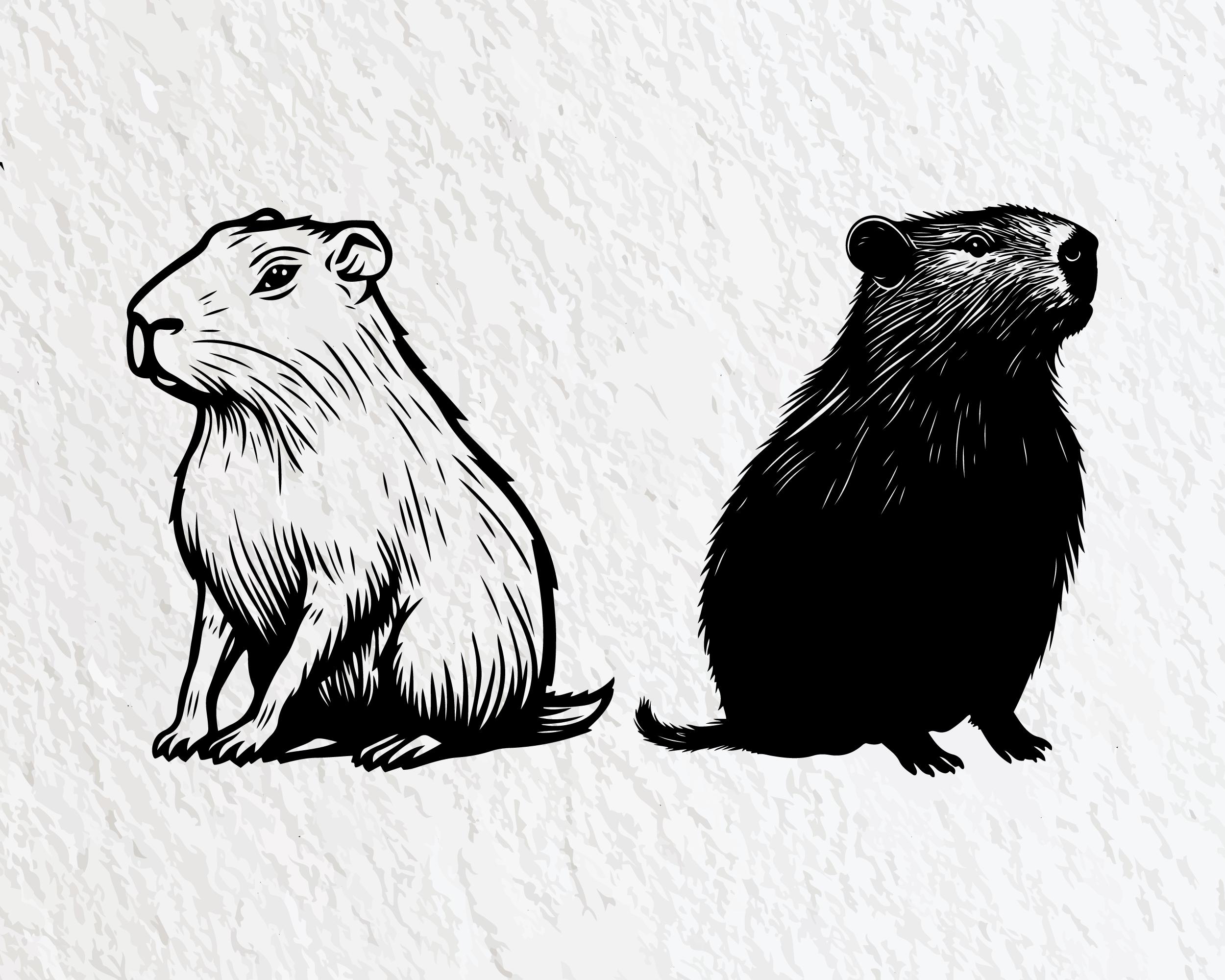 Capybara SVG Bundle: Silhouette Clipart, Logo Icon (PNG, Cricut Files ...