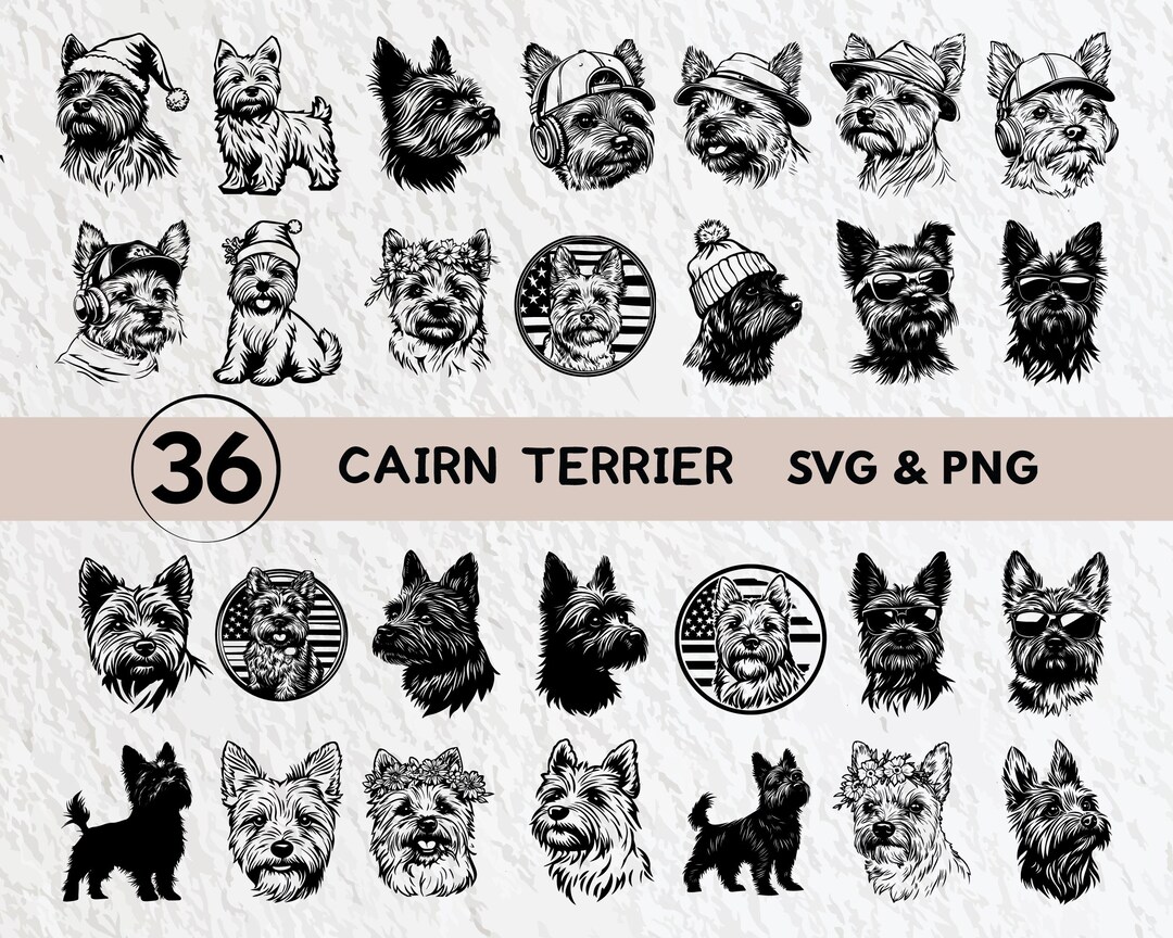 Cairn Terrier Svg Bundle, Cairn Terrier Silhouette, Cairn Terrier ...