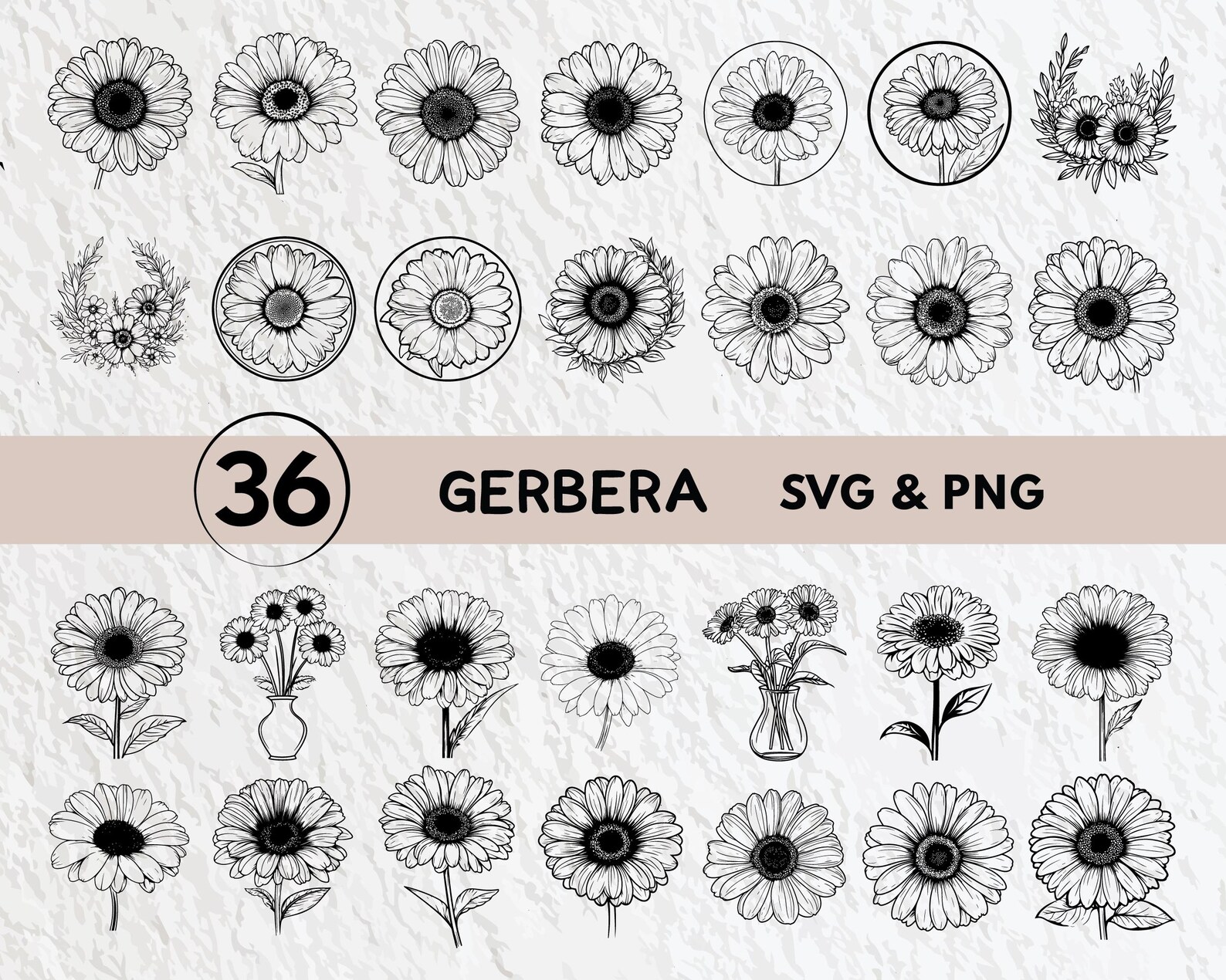 Gerbera Svg Bundle, Gerbera Silhouette, Gerbera Clipart Png, Gerbera ...