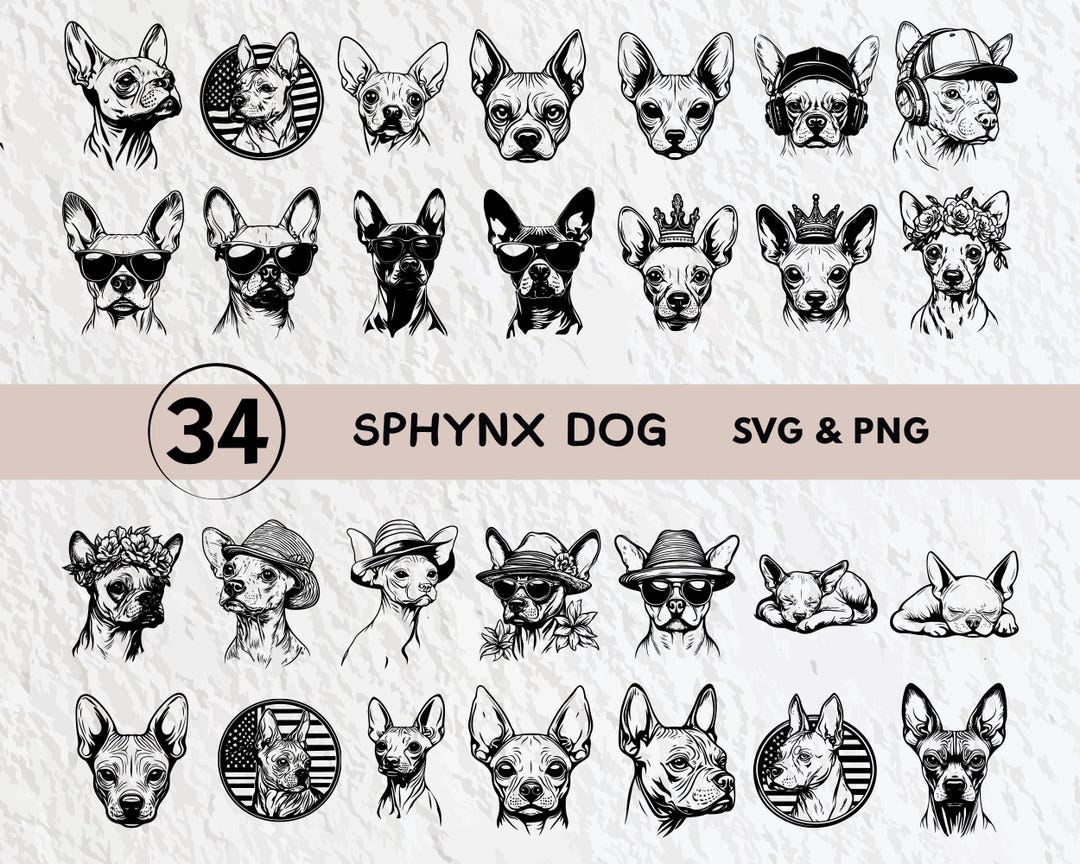Sphynx Dog Svg Bundle, Sphynx Dog Silhouette, Sphynx Dog Clipart ...