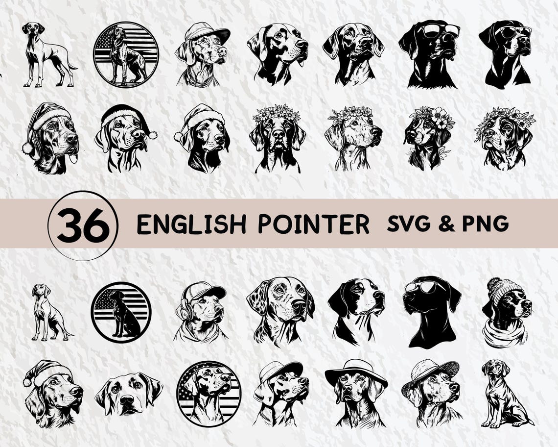English Pointer Svg Bundle, English Pointer Silhouette, English Pointer ...