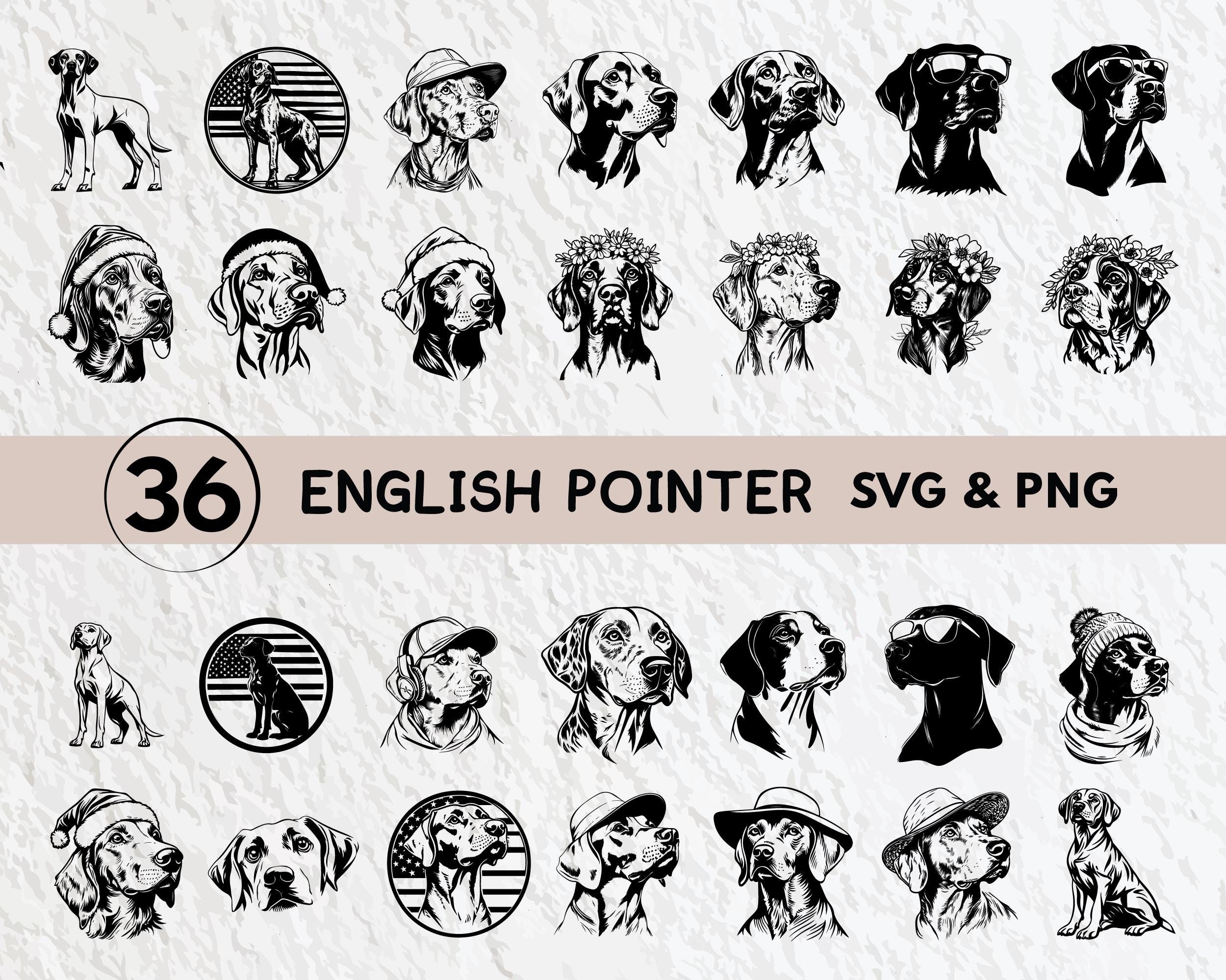 English Pointer Svg Bundle, English Pointer Silhouette, English Pointer ...