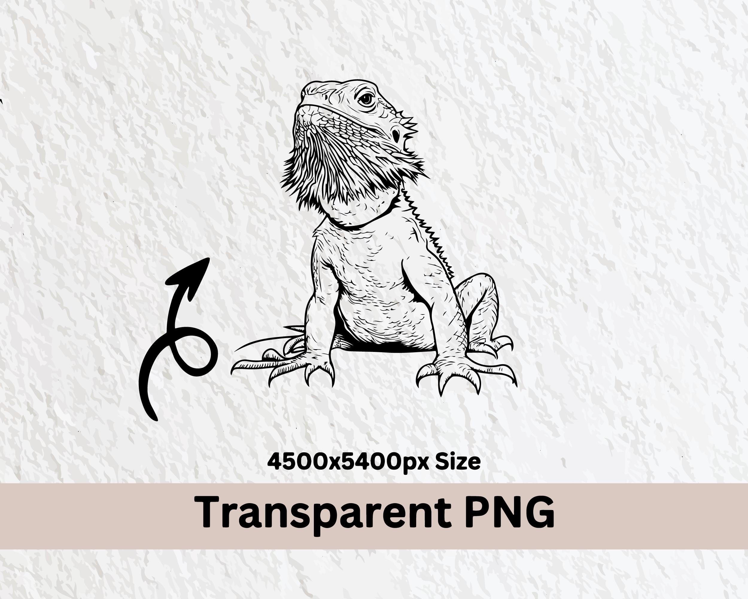 Bearded Dragon Svg, Bearded Dragon Silhouette Bundle, Bearded Dragon ...