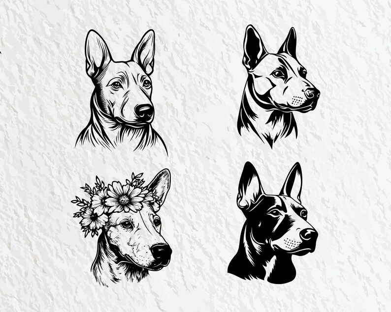 Miniature Bull Terrier SVG Bundle: Dog Clipart, Silhouette, Icon (PNG ...