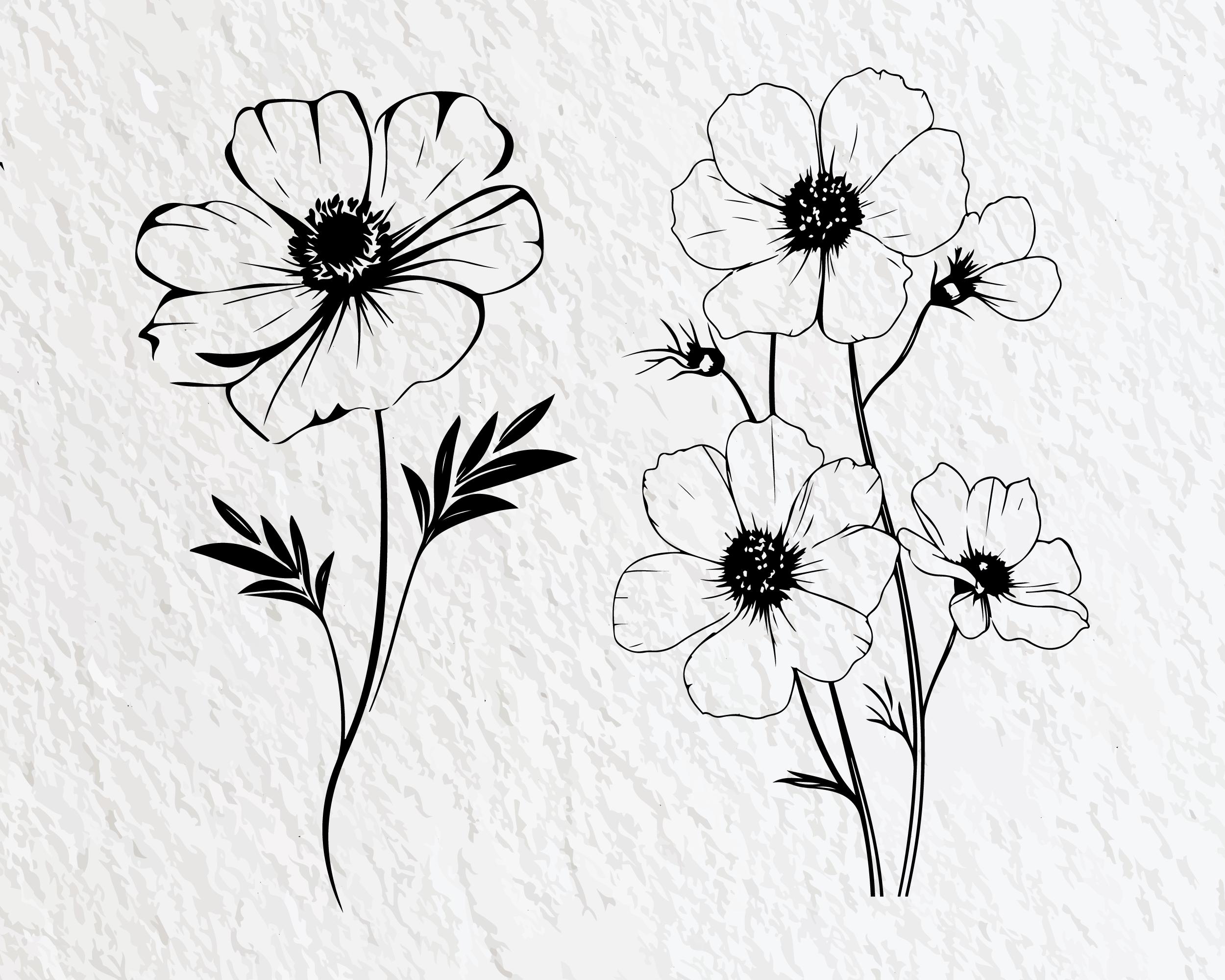 Cosmos Flower Svg Bundle, Cosmos Flower Silhouette, Cosmos Flower ...