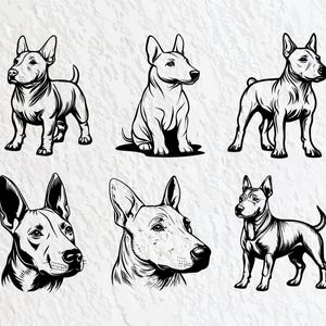 Miniature Bull Terrier SVG Bundle: Dog Clipart, Silhouette, Icon (PNG ...