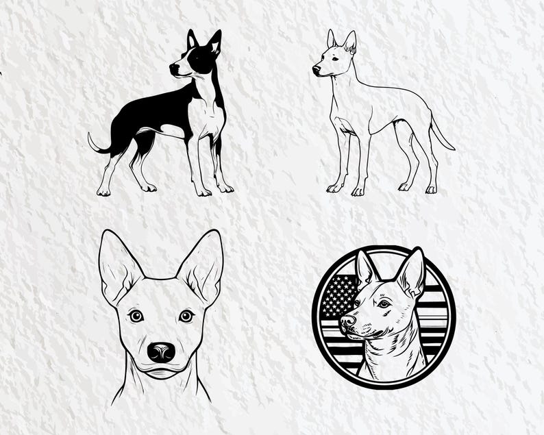 Basenji SVG Bundle: Dog Silhouette Clipart (PNG, Vector) - Etsy