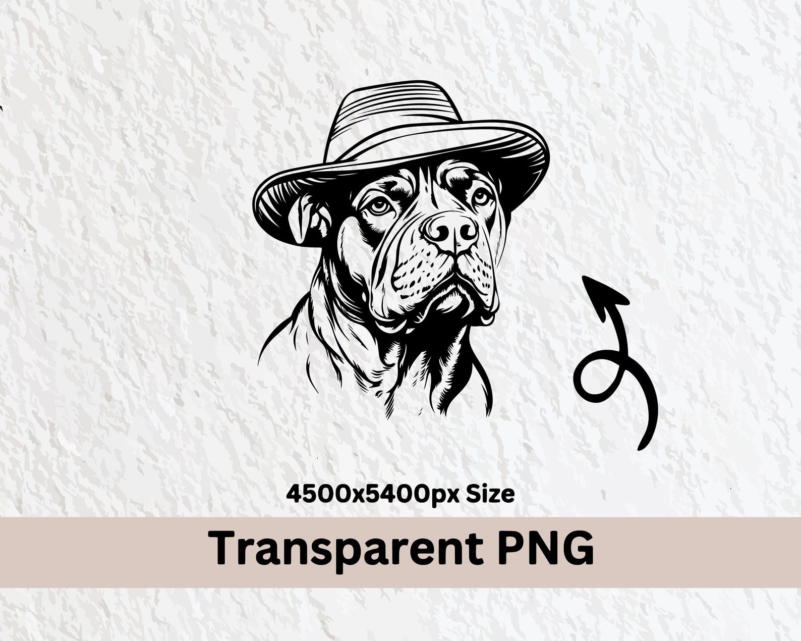 Cane Corso Dog Svg Bundle, Cane Corso Dog Silhouette, Cane Corso Dog ...