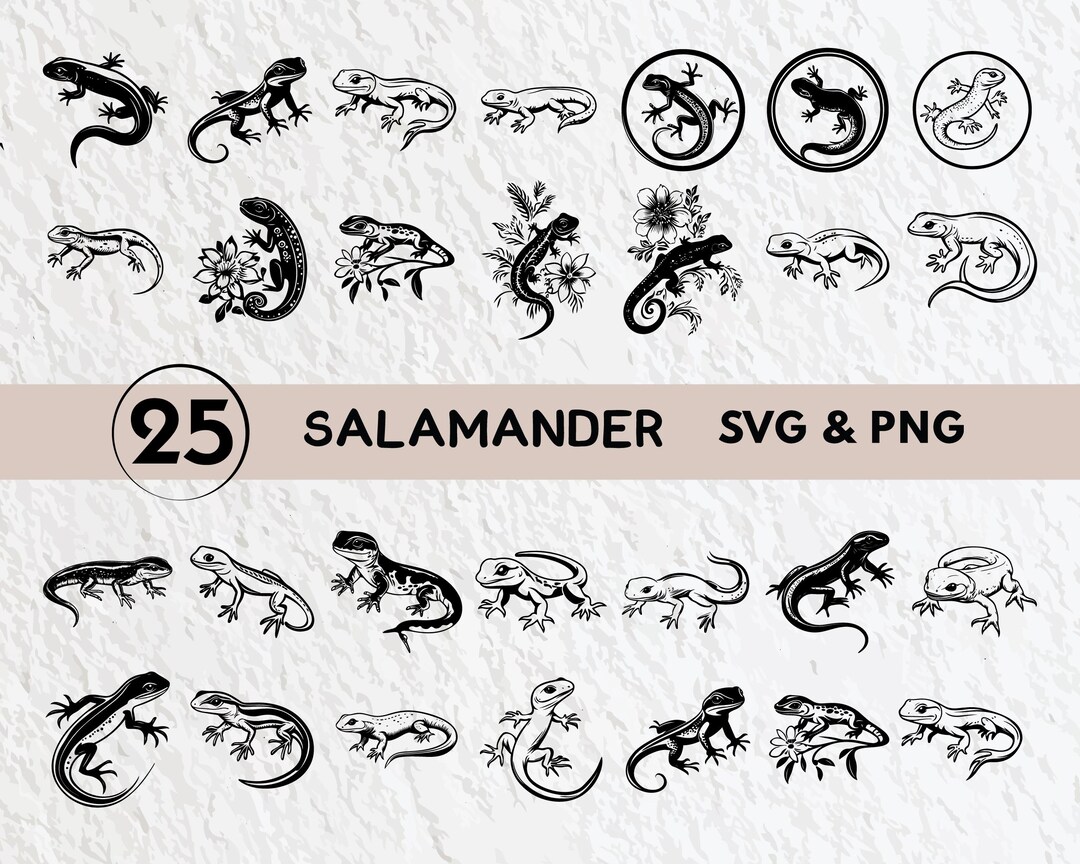 Salamander SVG Bundle: Silhouette Clipart, Vector Cut Files - Etsy