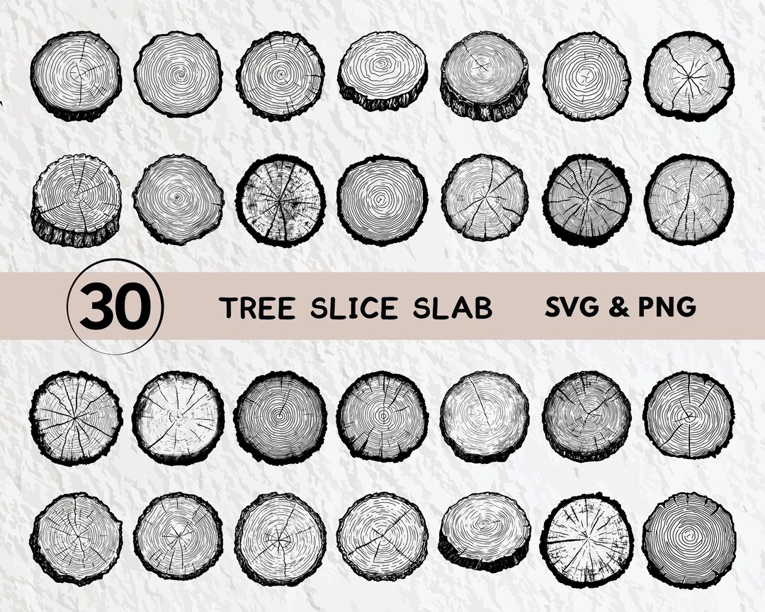 Tree Slice Slab Svg Bundle, Tree Slice Slab Silhouette, Tree Slice Slab ...