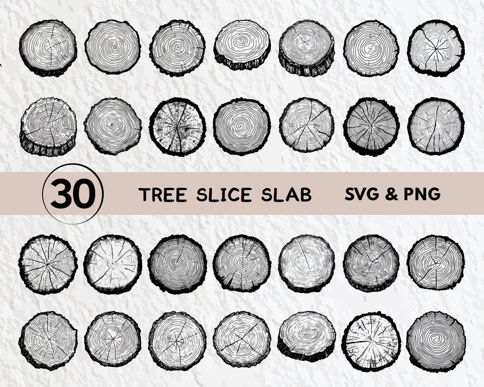 Tree Slice Slab SVG Bundle: Logo Icon Cricut Cut Files (digital ...