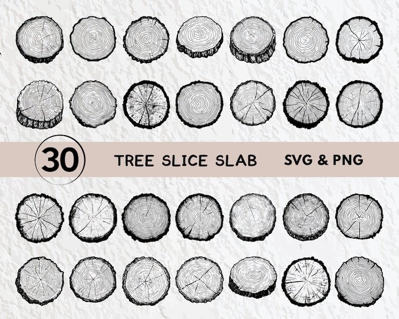 Tree Slice Slab Svg Bundle, Tree Slice Slab Silhouette, Tree Slice Slab ...