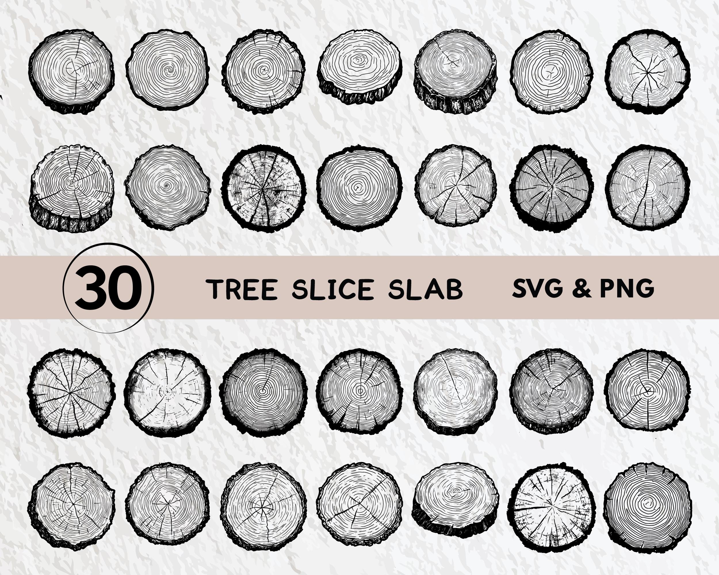 Tree Slice Slab Svg Bundle, Tree Slice Slab Silhouette, Tree Slice Slab ...