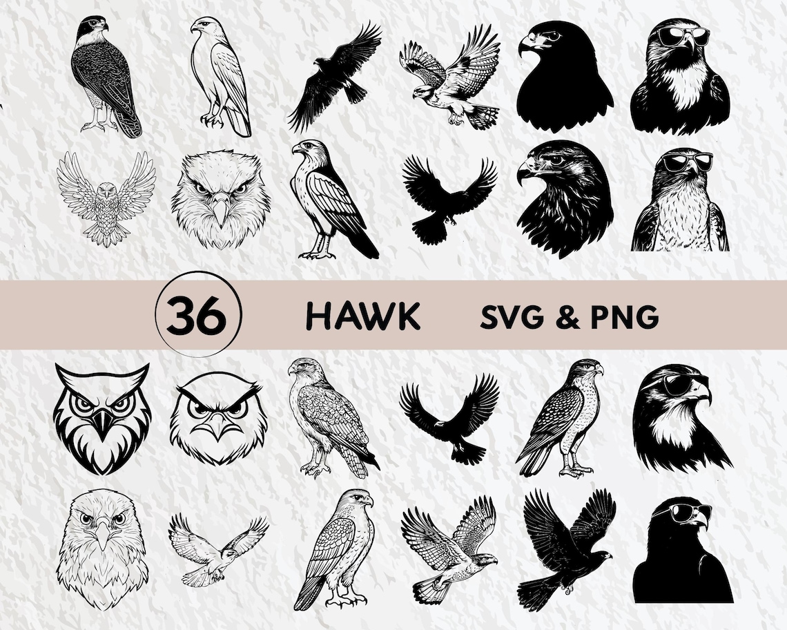 Hawk Svg Bundle, Hawk Silhouette, Hawk Clipart Png, Hawk Outline, Hawk ...