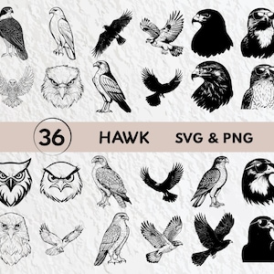 Hawk Svg Bundle, Hawk Silhouette, Hawk Clipart Png, Hawk Outline, Hawk ...