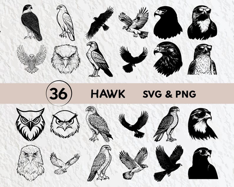 Hawk Svg Bundle, Hawk Silhouette, Hawk Clipart Png, Hawk Outline, Hawk ...