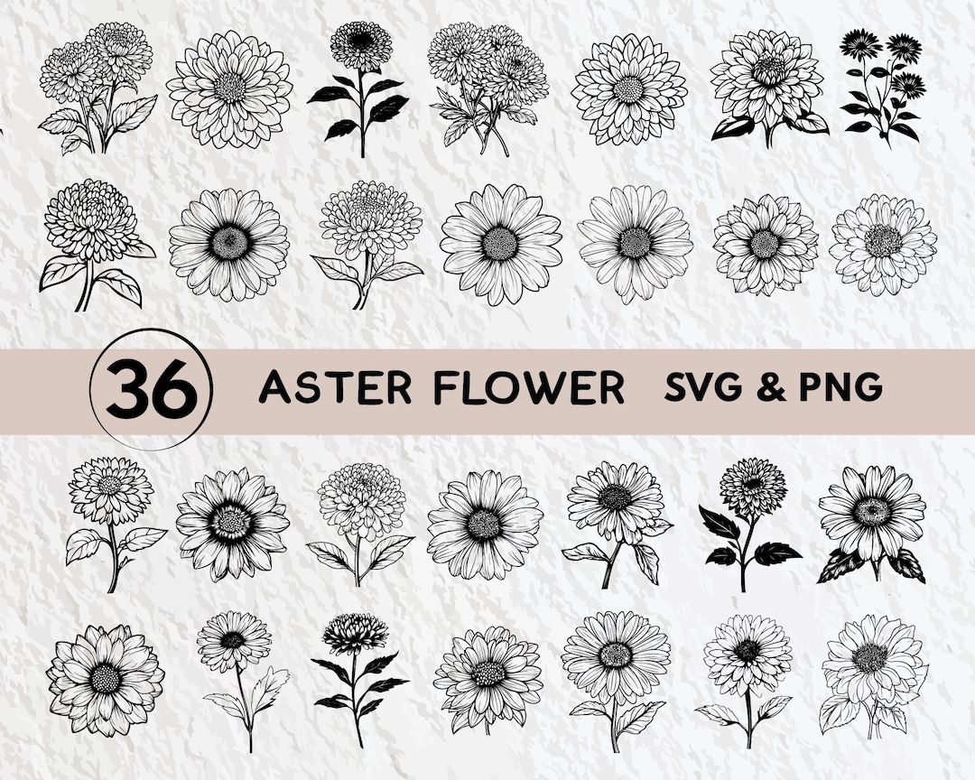 Aster Flower SVG Bundle: Floral Clipart, Logo Icon Files - Etsy
