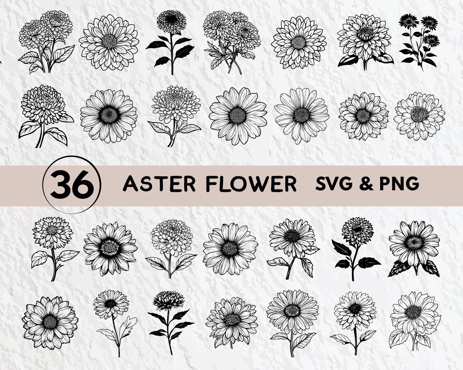 Aster Flower SVG Bundle: Floral Clipart, Logo Icon Files - Etsy