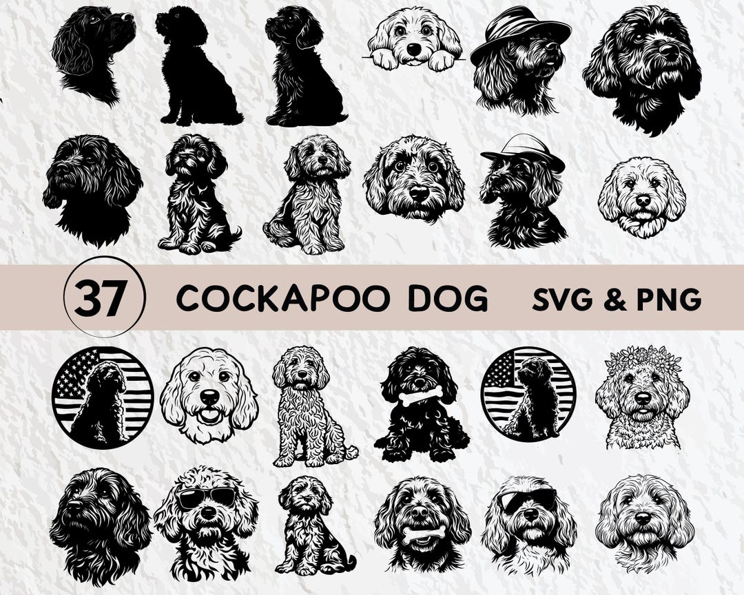 Cockapoo Dog Svg Bundle, Cockapoo Dog Silhouette, Cockapoo Dog Clipart ...