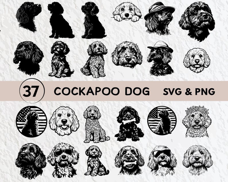 Cockapoo Dog Svg Bundle, Cockapoo Dog Silhouette, Cockapoo Dog Clipart ...