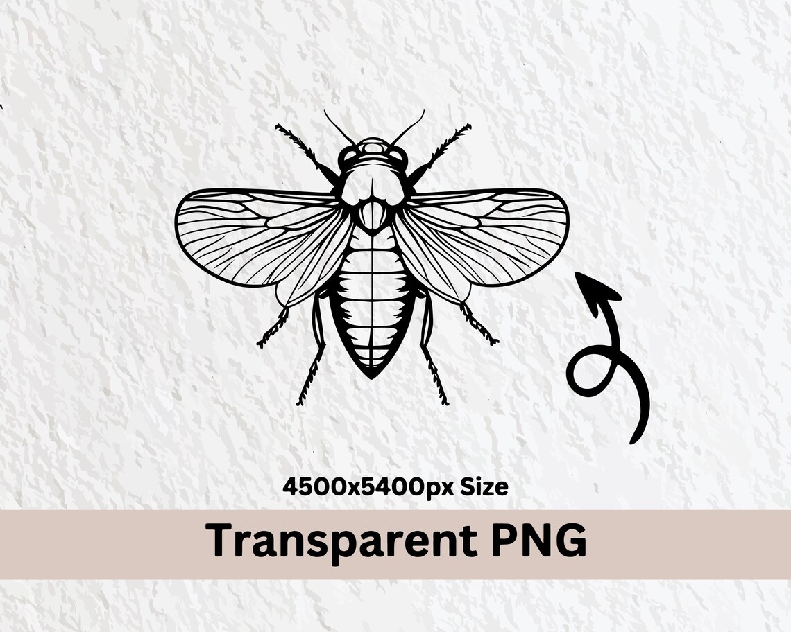 Cicadas Svg Bundle, Cicadas Silhouette, Cicadas Clipart, Cicadas ...
