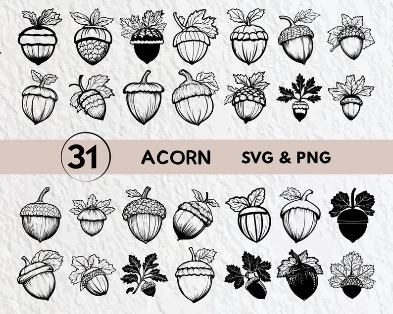 Acorn Svg Bundle, Acorn Silhouette, Acorn Clipart Png, Acorn Outline ...