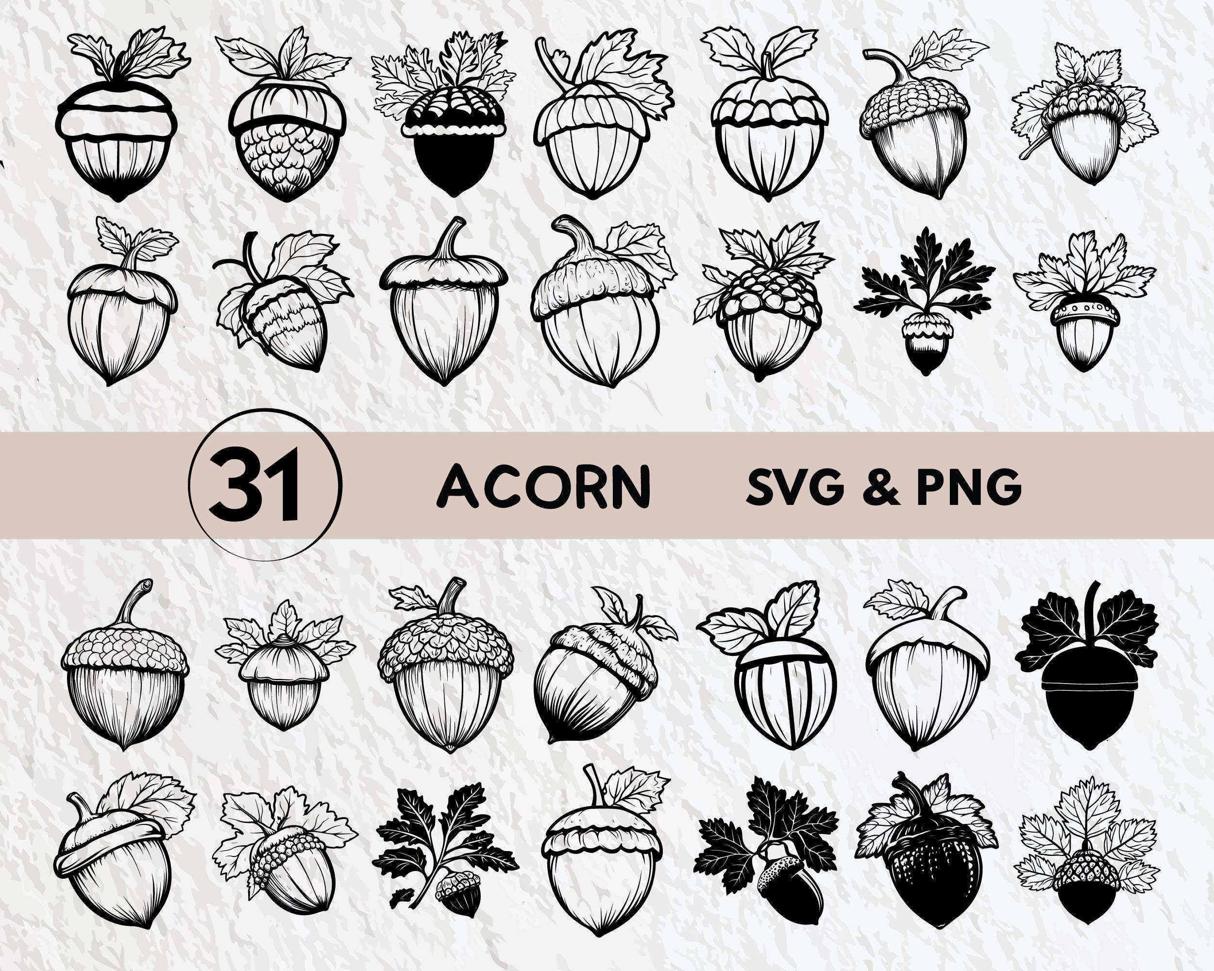 Acorn SVG Bundle: Silhouette Clipart, Vector Cut Files (PNG) - Etsy