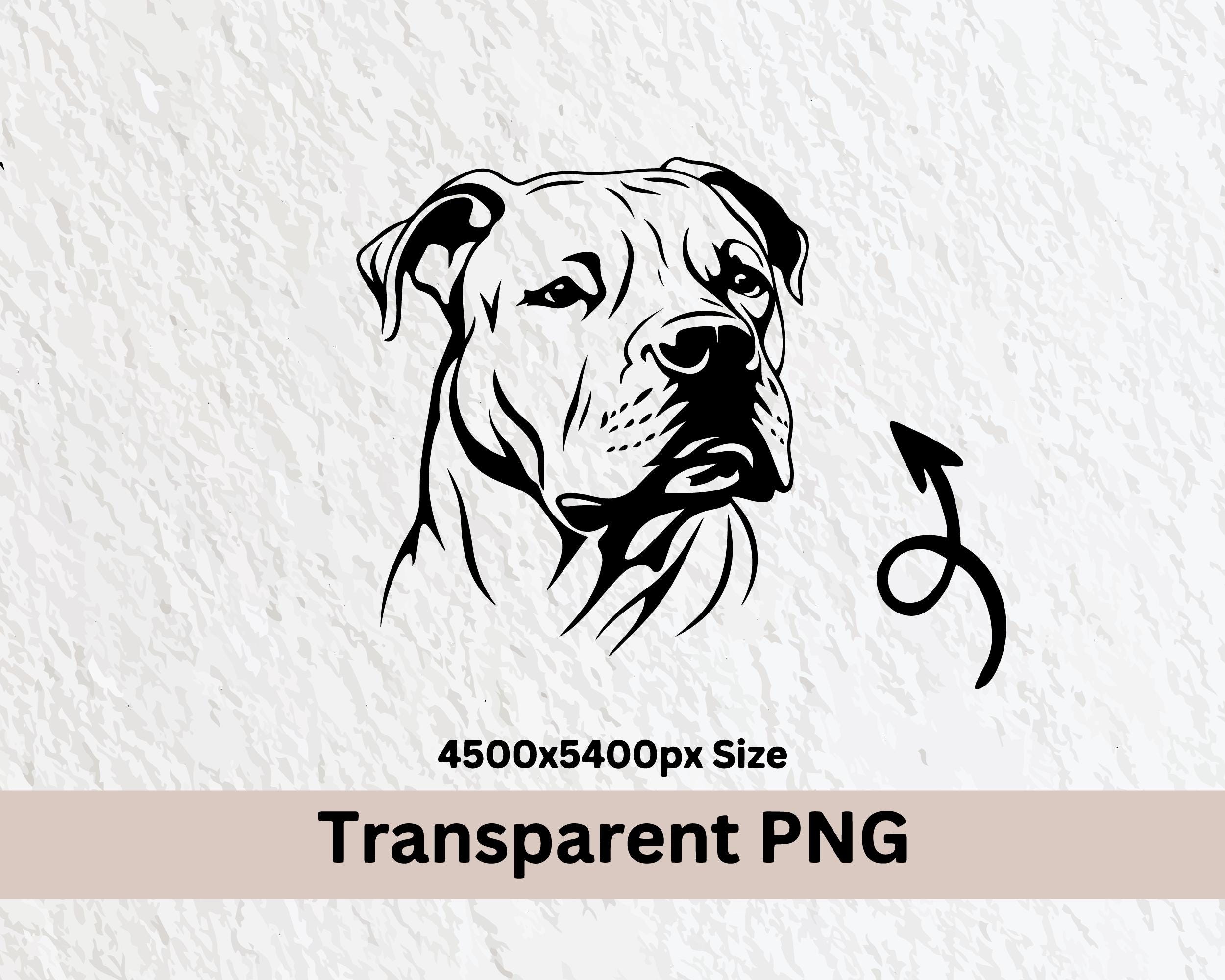 Dogo Argentino SVG Bundle: Dog Silhouette Clipart (PNG, Vector) - Etsy