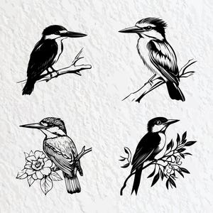Kingfisher Svg Bundle: Bird Silhouette, Clipart, Vector (digital ...