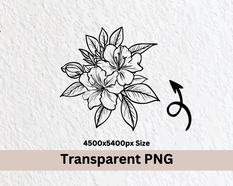 Azalea Flower SVG Bundle: Silhouette, Clipart, Vector (digital Download ...