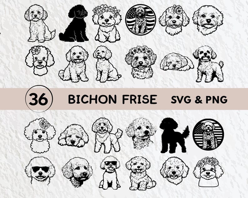 Bichon Frise Silhouette Bundle Png, Bichon Frise Svg Bundle Cut Files ...