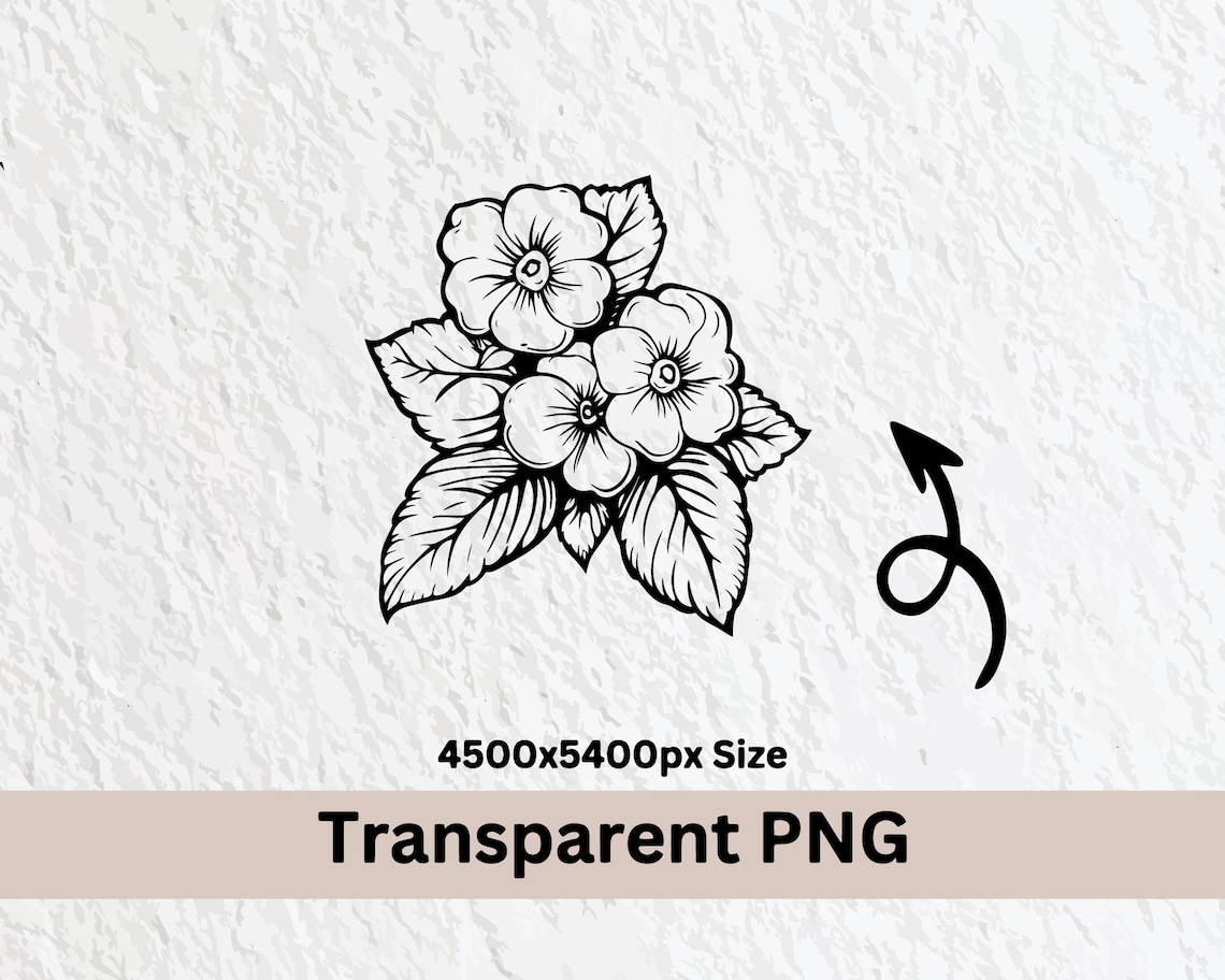 Primrose Svg Bundle, Primrose Silhouette, Primrose Clipart Png ...