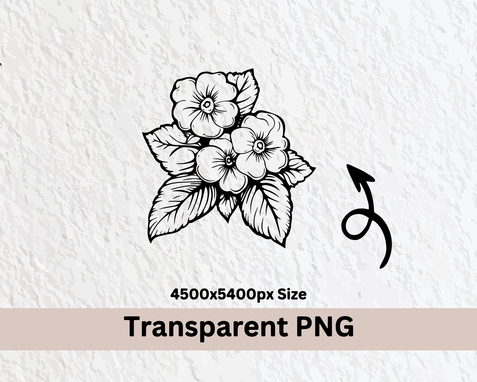 Primrose Svg Bundle, Primrose Silhouette, Primrose Clipart Png ...