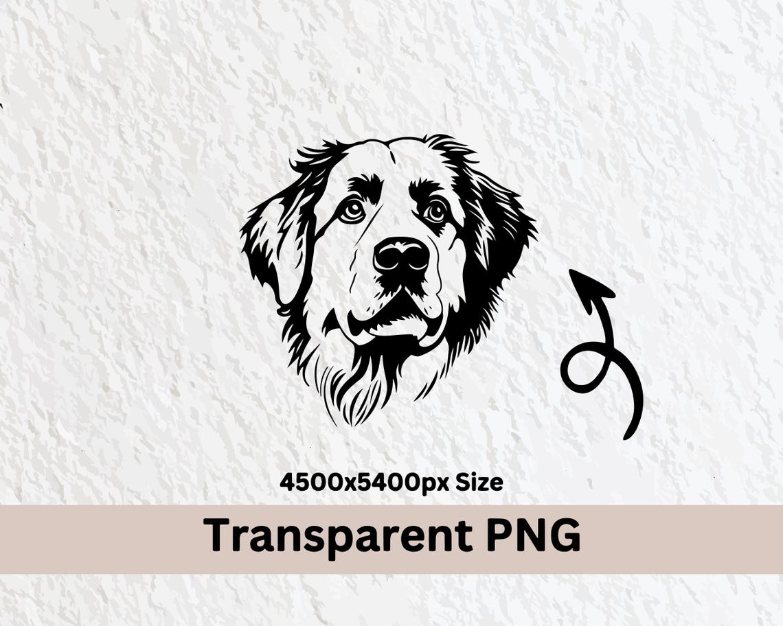 Leonberger Dog SVG Bundle: Silhouette Clipart, Logo Icon Decal (PNG ...