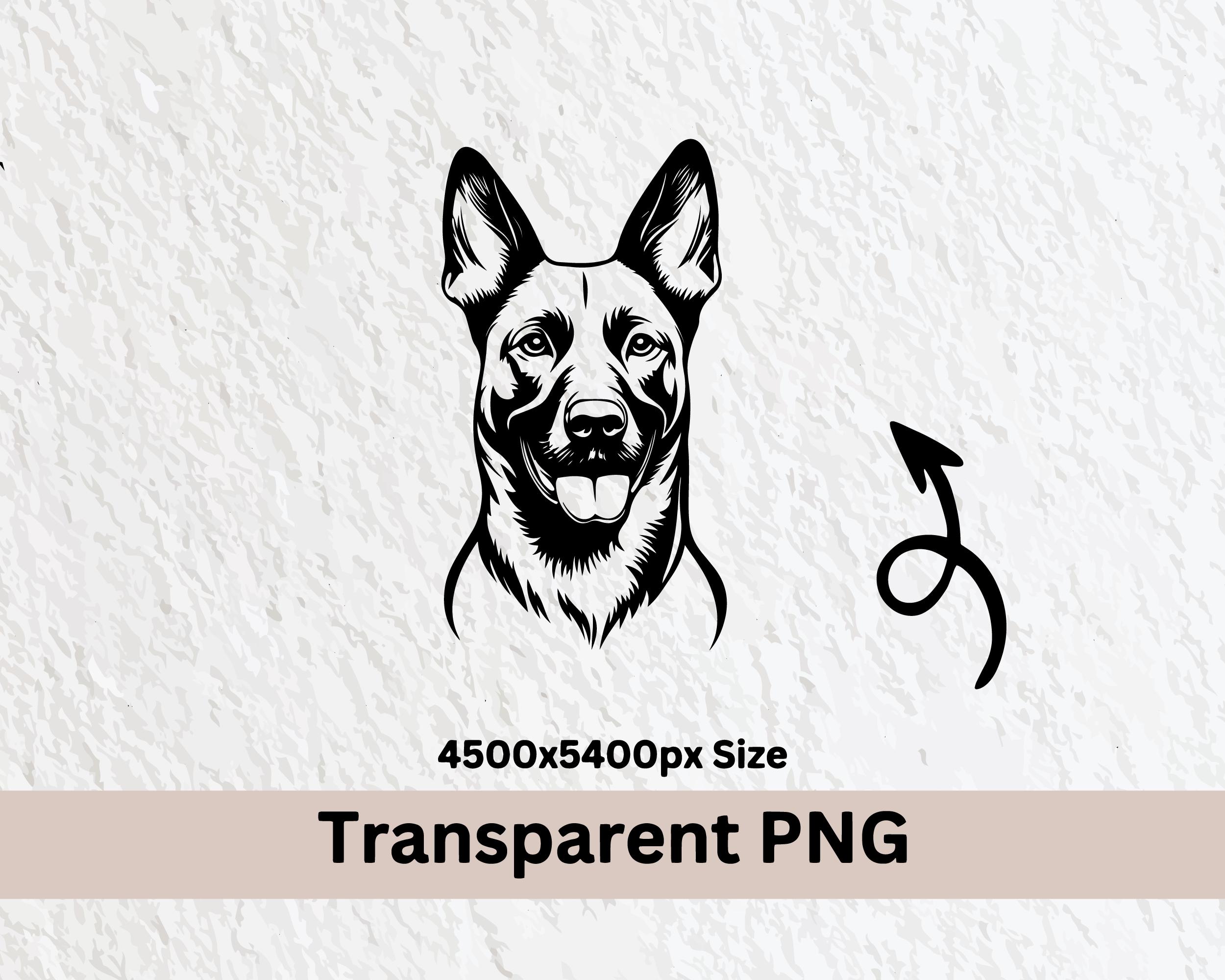 Belgian Malinois SVG Bundle: Silhouette, Clipart, Outline (digital ...