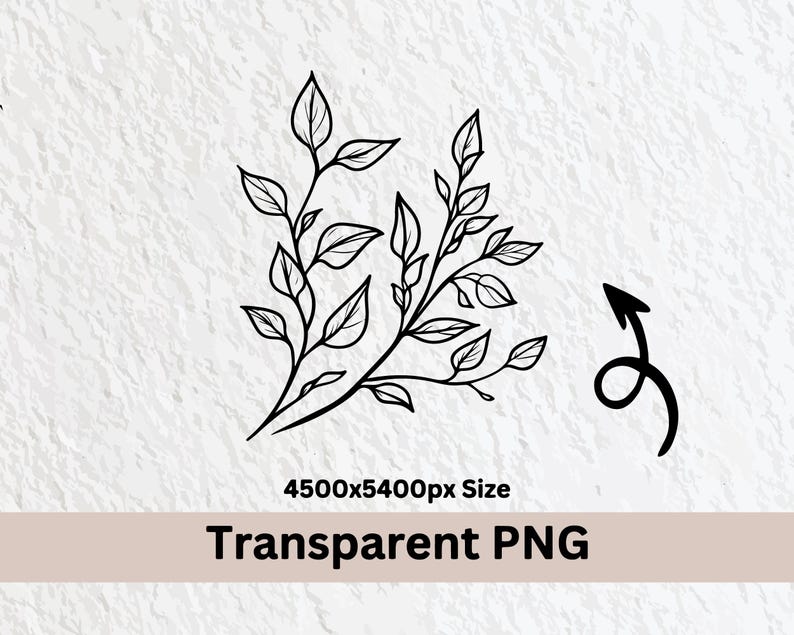 Botanical Leaves & Twigs SVG Bundle: Vector Cut Files (PNG, SVG) - Etsy