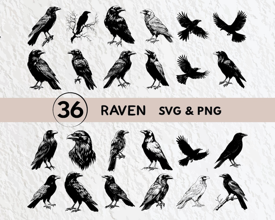Raven Silhouette Vector Art: Raven Svg Bundle (PNG, Cricut Cut Files ...