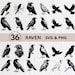 Raven Svg Bundle, Raven Silhouette, Raven Clipart Png, Raven Outline ...