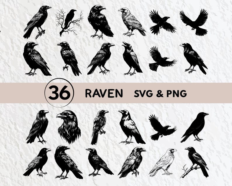 Raven Svg Bundle, Raven Silhouette, Raven Clipart Png, Raven Outline ...
