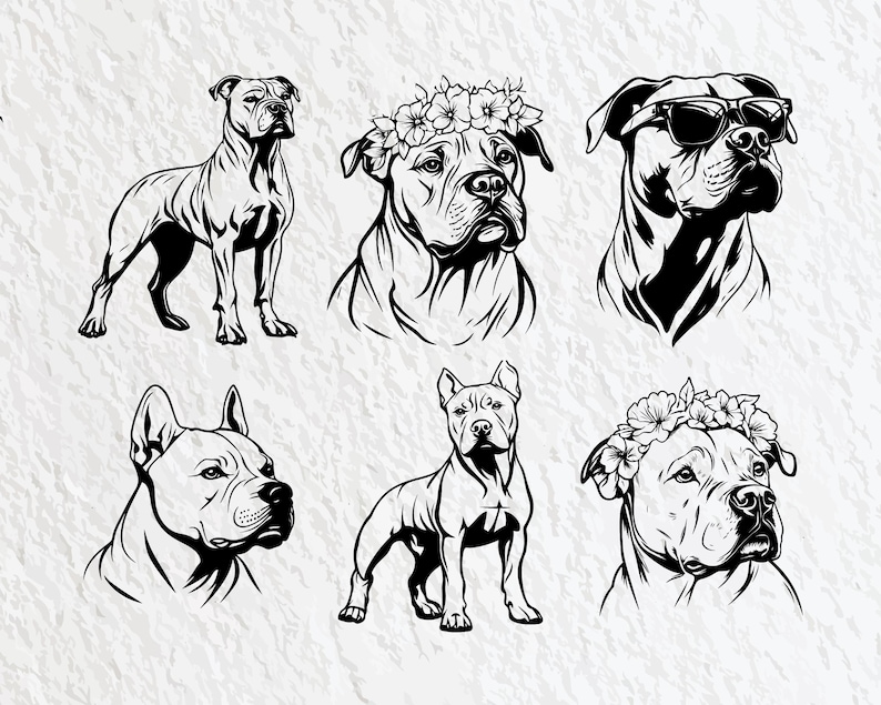 Dogo Argentino SVG Bundle: Dog Silhouette Clipart (PNG, Vector) - Etsy