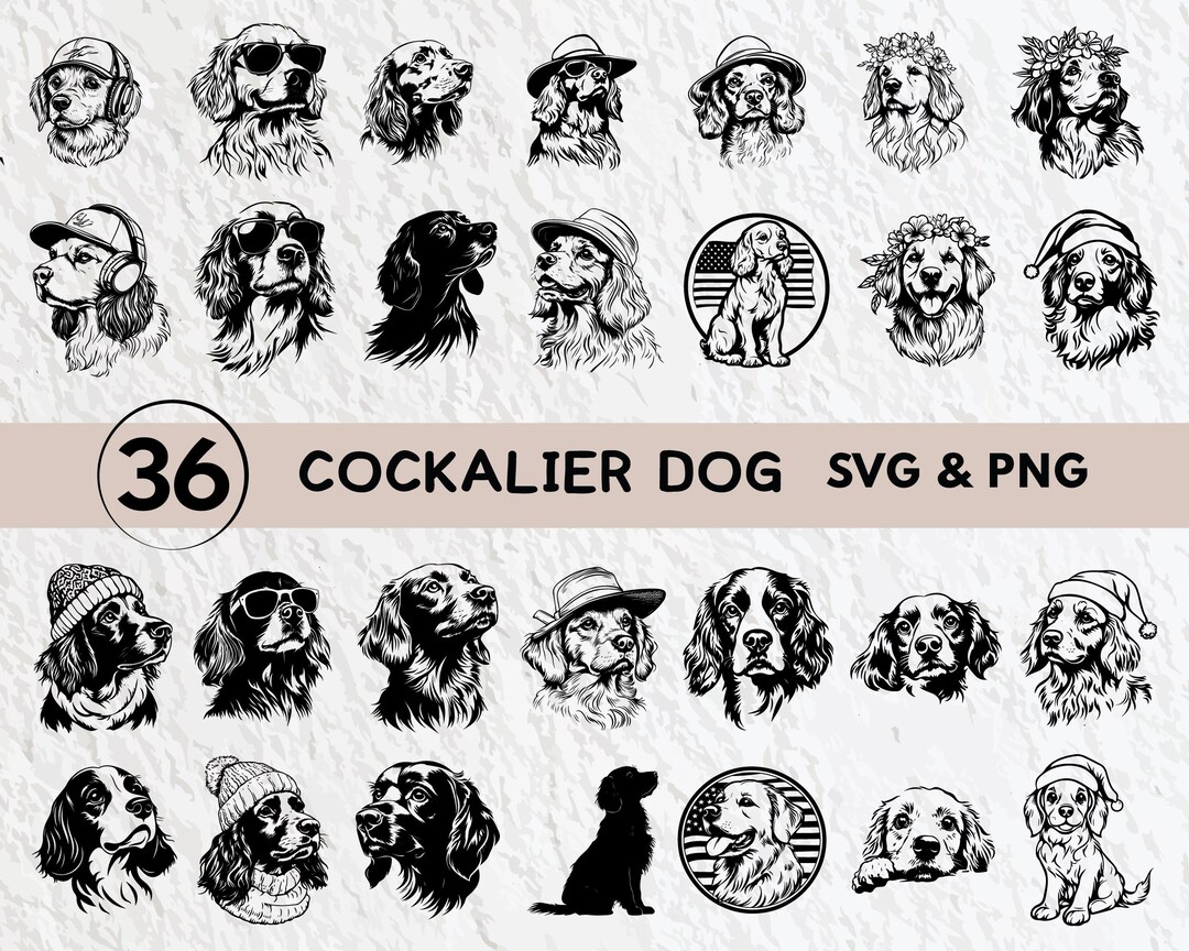 Cockalier Dog Svg Bundle, Cockalier Dog Silhouette, Cockalier Dog ...