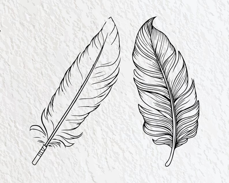 Quill SVG Bundle: Feather Pen Clipart, Logo & Decal (PNG, Cricut Files ...