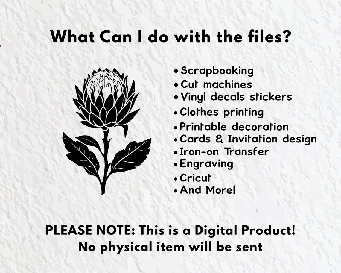 Protea Flower SVG Bundle: Floral Clipart, Vector Cut Files (PNG, SVG ...