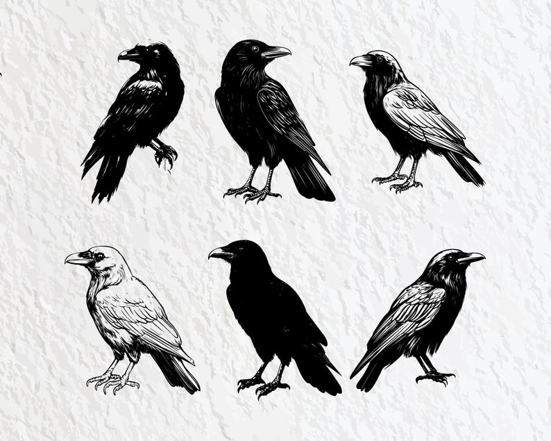 Raven Svg Bundle, Raven Silhouette, Raven Clipart Png, Raven Outline ...