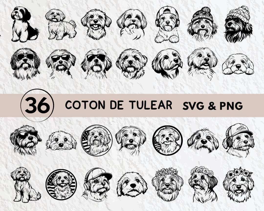 Coton De Tulear Dog Svg Bundle, Coton De Tulear Silhouette, Coton De ...