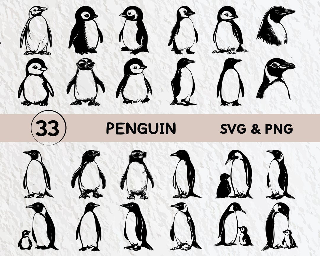 Penguin Silhouette Svg, Penguin Svg Bundle, Penguin Breed Clipart ...