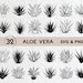Aloe Vera Svg, Aloe Vera Silhouette Bundle, Aloe Vera Clipart, Aloe ...