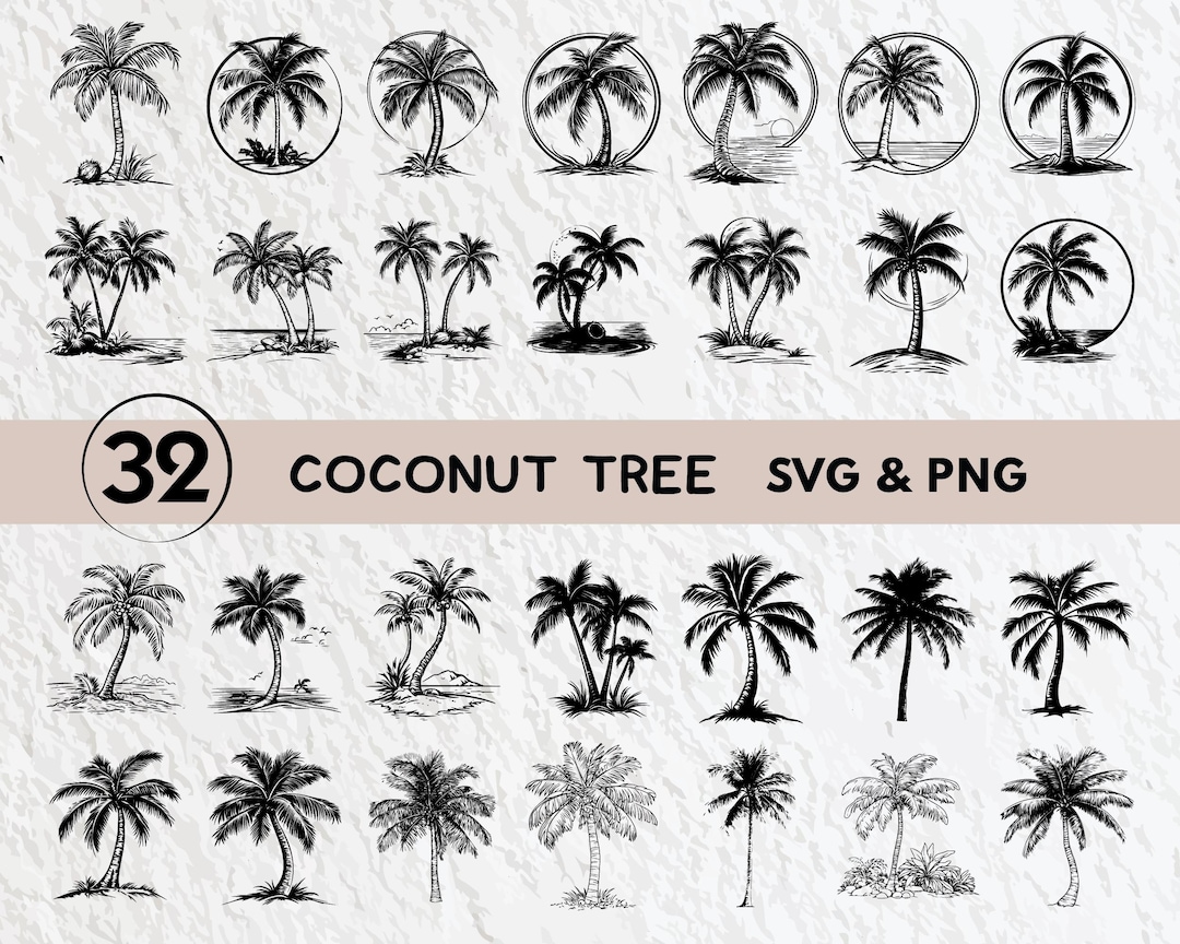 Coconut Tree Svg Bundle, Coconut Tree Silhouette, Coconut Tree Clipart ...